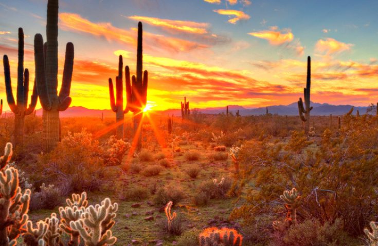 Bienvenue en Arizona | Visit Arizona Bienvenue en Arizona | Visit Arizona